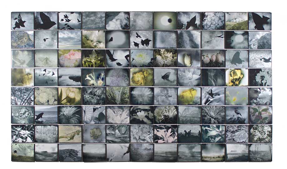 Michelle Stuart Studio | Work